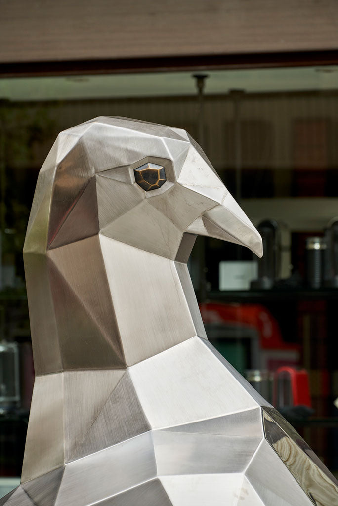 PIGEON – Hugo Michell Gallery