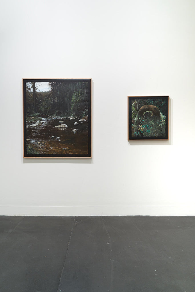 HOW THE PRISONERS YEARN WHEN THE FORESTS BURN – Hugo Michell Gallery